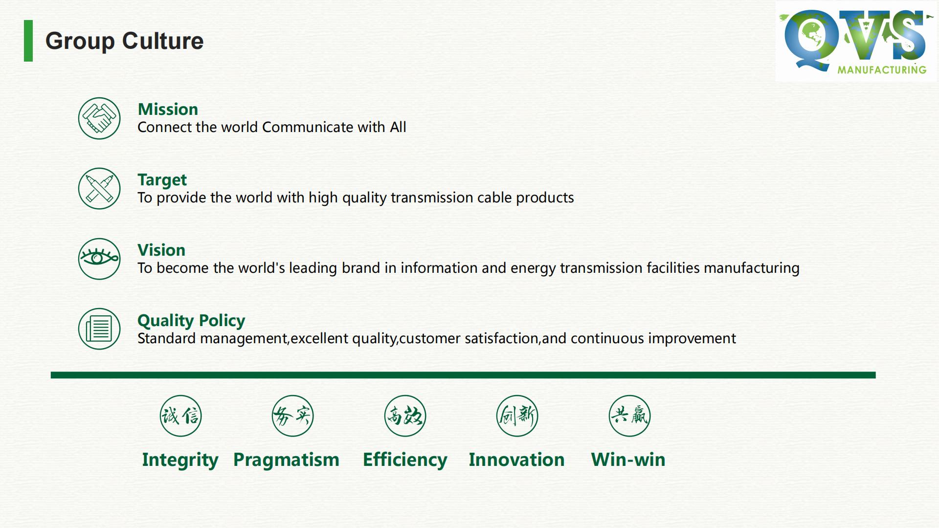 QVS Marketing Inc. » CAT 8 Cable